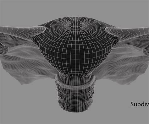 Artstation Uterus Anatomy 3d Model Resources