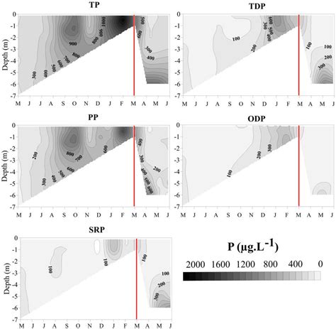 Total Phosphorus Tp Total Dissolved Phosphorus Tdp Particulate