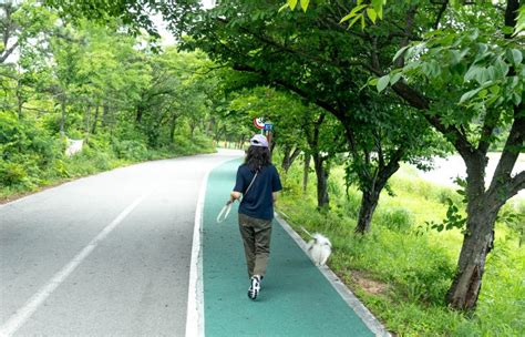 하루 만보 걷기 효과와 칼로리 알아보기 네이버 블로그