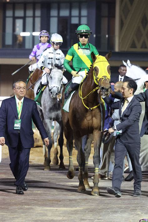 注目馬動向サウジC2着のウシュバテソーロは予定通り連覇目指しドバイWCへ セットアップは帰国へ スポーツ報知