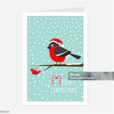 멋쟁이 새의 일종 겨울 빨간 깃털 새로 완 Rowanberry 흡수 하다 발표 베리 나무 가지에 앉아 산타 모자입니다 귀여운 만화 재미 있는 문자입니다 인사말 카드입니다