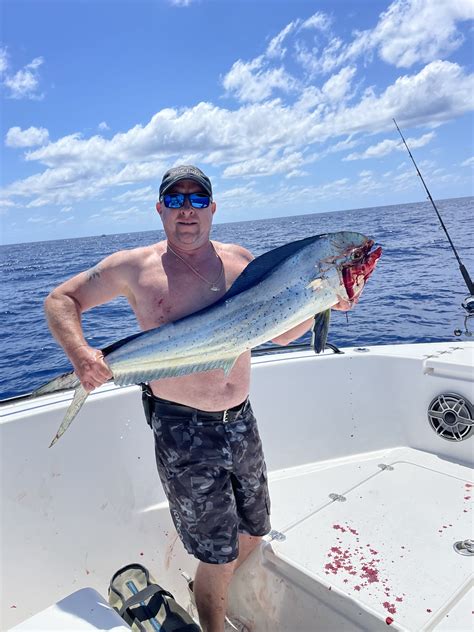 Snapper Species Whats The Difference