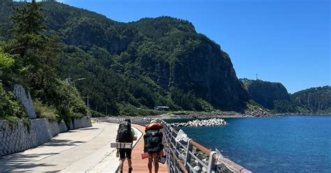 울릉도 바닷속 힘없이 뒹구는 뿔소라꼭꼭 숨겨주고 싶어 Esc