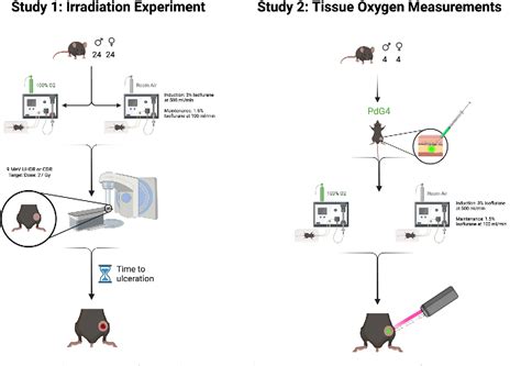 Figure From Anesthetic Oxygen Use And Sex Are Critical Factors In The FLASH Sparing Effect