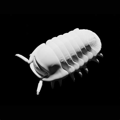 White Rubber Ducky Isopod At Hillary Mccarty Blog