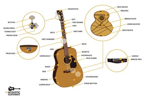 Parts Of A Guitar Diagram At Clarence Turner Blog