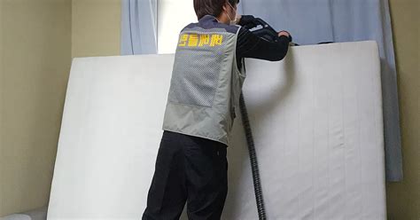 라텍스 매트리스 진드기 청소후 너무 좋아하세요~ 황동민 숨고 숨은고수