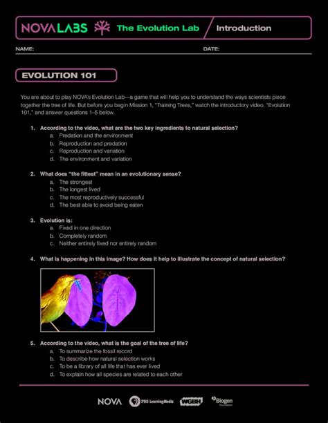 Pdf The Evolution Lab Introduction Uploads 1 3 2 1 13213432 Nova