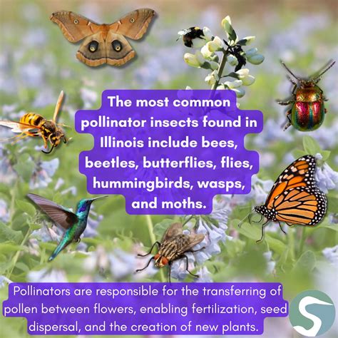 Severson Dells Nature Severson Dells Nature Center