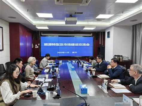 华中能源监管局与法国电力集团（中国）投资有限公司座谈交流