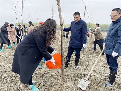 又是一年植树时 江都日报