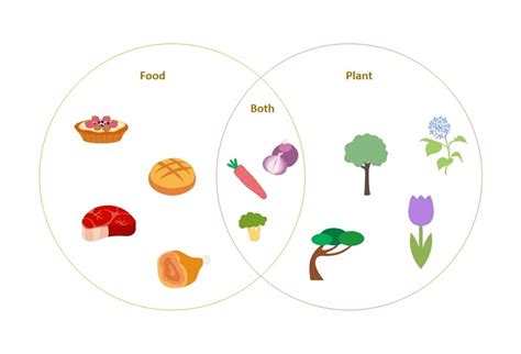 Simple Venn Diagram Examples