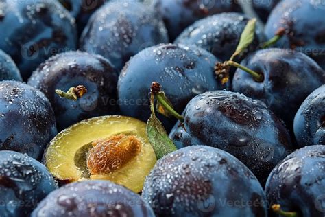Plums And Prunes Halves Background Of Fresh Organic Fruits In Water