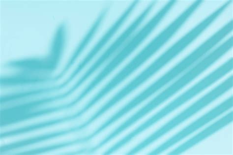 빈 푸른 빛 벽에 손바닥 그림자 미용 제품 스파 화장품의 프리젠 테이션을위한 열대 햇볕이 잘 드는 배경 오버레이 효과 0명에 대한 스톡 사진 및 기타 이미지 Istock