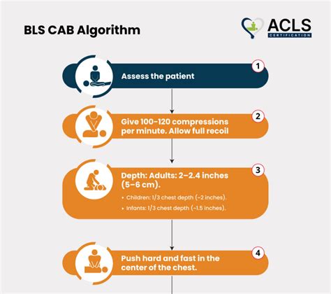Basic Life Support Bls Cpr Algorithm Aclsnow