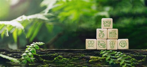 Savills Malaysia Implementing Sustainability Strategies For Businesses