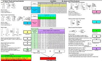 Manual Handling Instructor Train The Trainer Assessor Case Study
