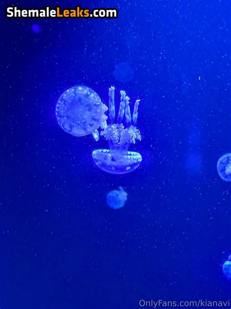Kianavi Kianavi5 Leaked Nude Onlyfans Photo 115 Shemaleleaks