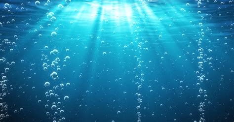 Ocean Deoxygenation Assignment Point