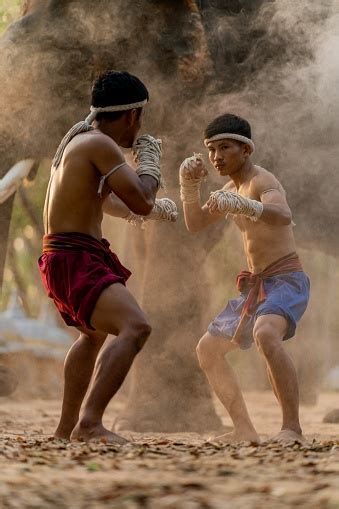 무에타이 전투기 태국 킥복싱 무에타이 권투 선수들은 코끼리를 배경으로 일몰 순간에 서로 무에타이 기술과 기술을 연습합니다 무에타이에 대한 스톡 사진 및 기타 이미지 Istock