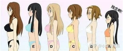Breast Size Comparison Side By Side Breast Sizes Chart Bra Hacks