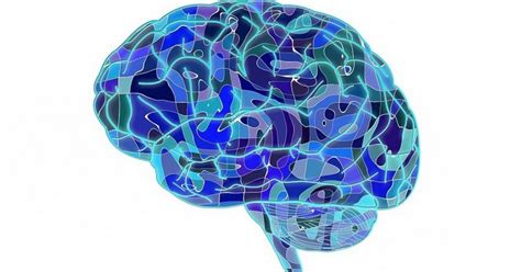 Types Of Memory How Does The Human Brain Store Memories