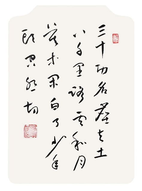 毕明君
