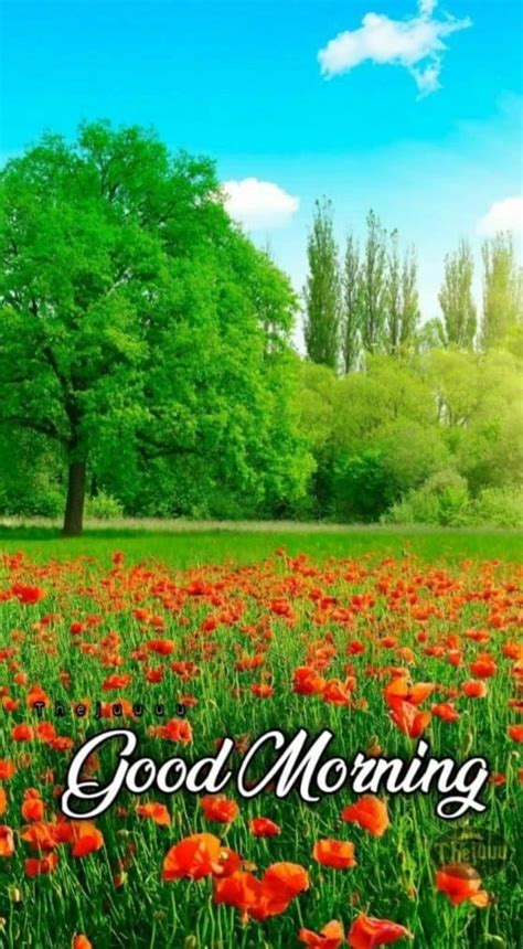 Ahmad W On Linkedin Letsconnect Letsgrowtogether