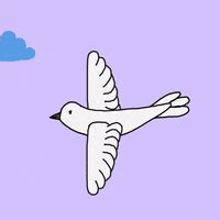 Flying Bird 