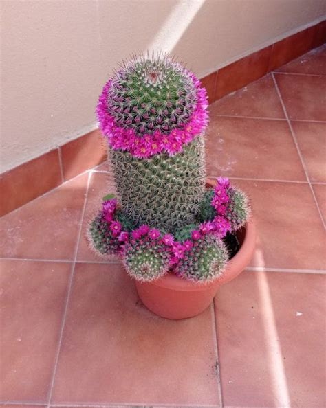 Someone Asked Me To Do The Lumbridge Basement So Here It Is Rrunescape