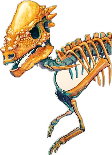 Pachycephalosaurus In 2025 Fossil Museum Science And Nature Prints