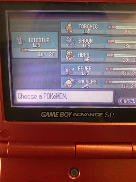 My Dream Team Has Been Made Now Time To Evolve And Ev Train Them R