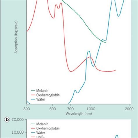 Depth Of Penetration By Various Lasers This Figure Was Published In Download Scientific