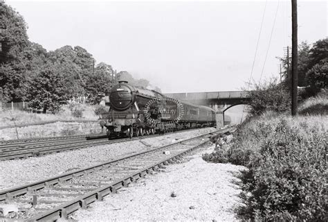The Transport Library British Railways Steam Locomotive 60044 Melton
