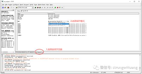 Stm32下载编程工具 Stvp介绍、下载、安装和使用教程stvp Csdn博客