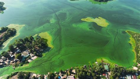 武汉水之国环保科技有限公司 污水处理菌种除氨氮脱总氮专家