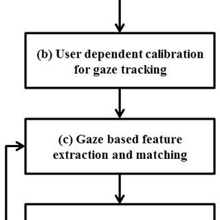 A Flow Chart Of The Proposed Gaze Tracking Algorithms Download Scientific Diagram