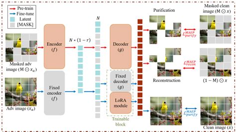 논문 리뷰 Adversarial Masked Autoencoder Purifier With Defense