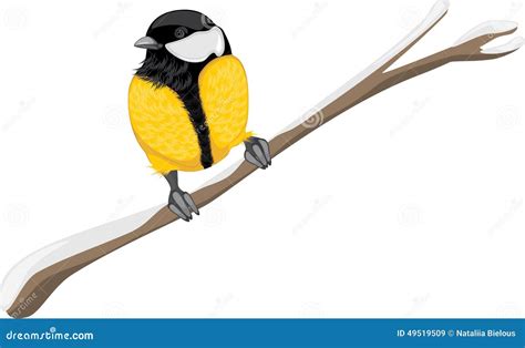 Tit Sitting On A Branch Tree Stock Vector Illustration Of Tree