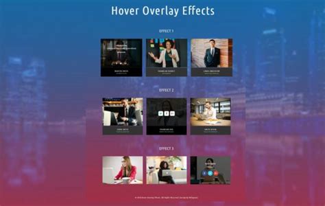 Hover Overlay Effects Flat Responsive Widget Template W Layouts