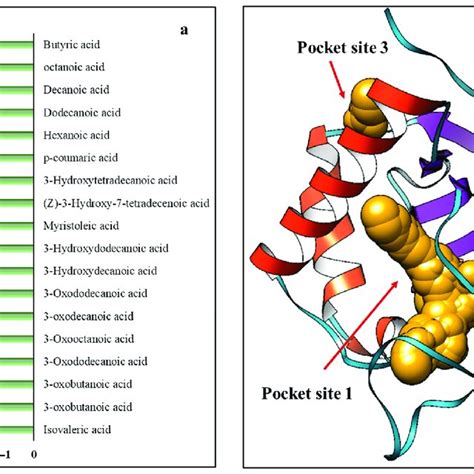 Binding Energy And Surface Interactions Between Substrates And Modeled Download Scientific