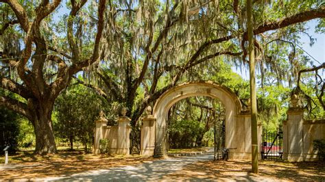 Wormsloe Plantation Georgia Wormsloe Tree Tunnel Wormsloe Plantation