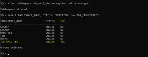 Setup Tde Encryption In Oracle 19c Database Dba Notes