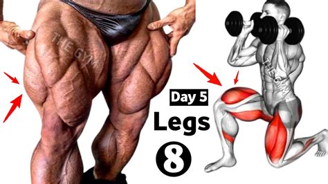 Day 5 Quads Hamstrings And Calves Workout 8 Effective Exercises