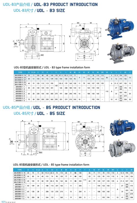 UDL Stepless Speed Variator Servomotorgearbox
