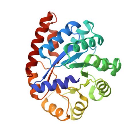 Rcsb Pdb 8b06 Tryptophan Synthase Cryo Trapping By The Spitrobot Crystal Plunger After 25 Sec
