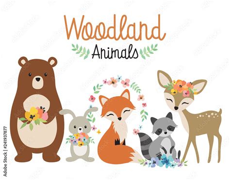 Woodland Animal Vector At Sophie Denny Blog