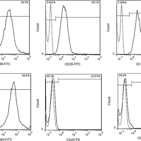 Cell Surface Markers Expression Analysis Of Adscs By Flow Cytometry