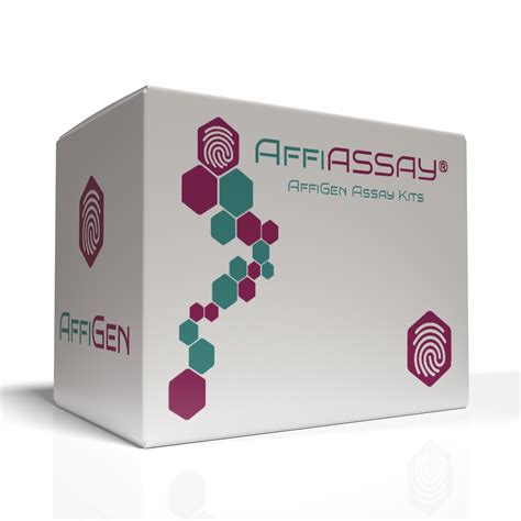 Affiassay® 96 Well E Coli Gyrase Dna Decatenation Assay Kit Plus Enzyme Included Affigen