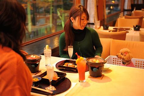 奥飛騨温泉郷観光協会 Archives 高山わんわんパラダイスホテル